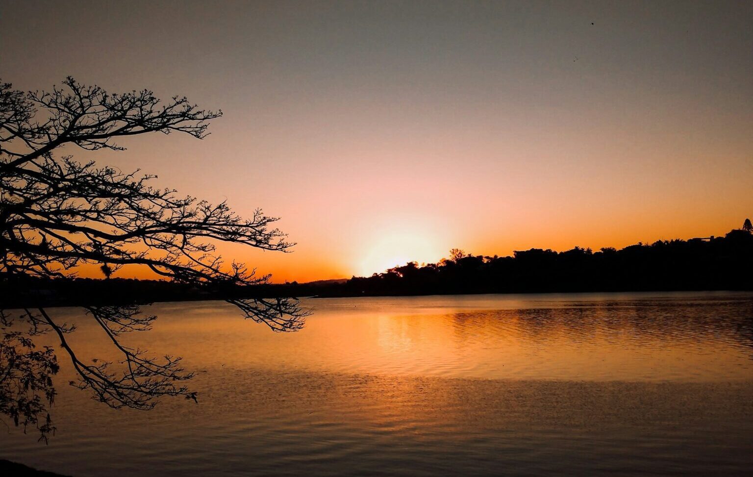 Fall Equinox - a Liminal Shift - Learn Model Teach